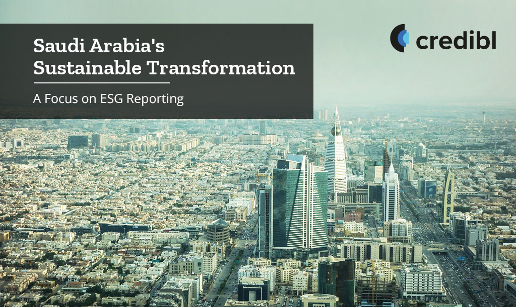 Saudi Arabia's Sustainable Transformation: A Focus on ESG Reporting ...