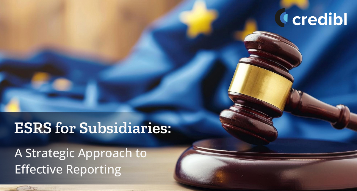 Effective ESRS Reporting for Subsidiaries: A Comprehensive Guide - Credibl