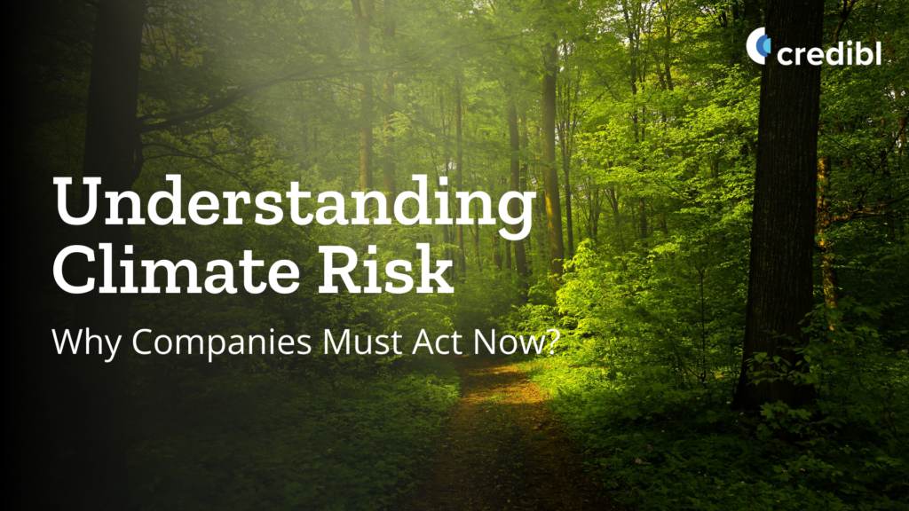 Understanding Climate Risk: Why Companies Must Act Now? - Credibl