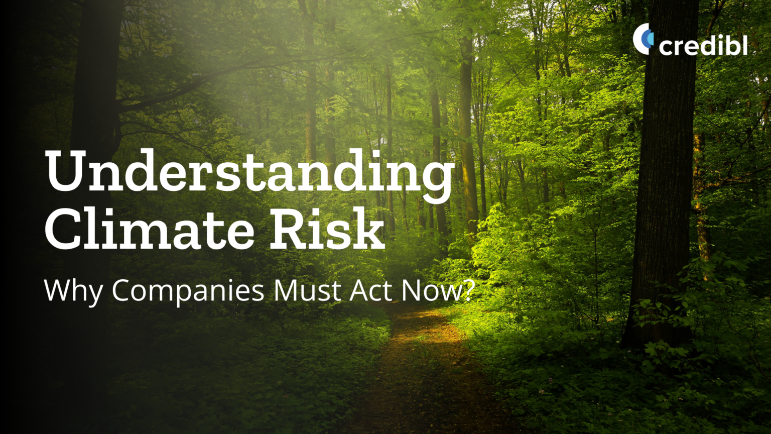 Understanding Climate Risk: Why Companies Must Act Now? - Credibl