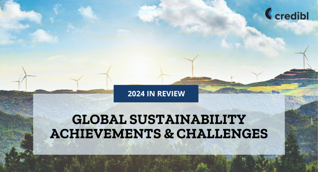 A Global Sustainability Review of 2024: Achievements, Challenges & The ...