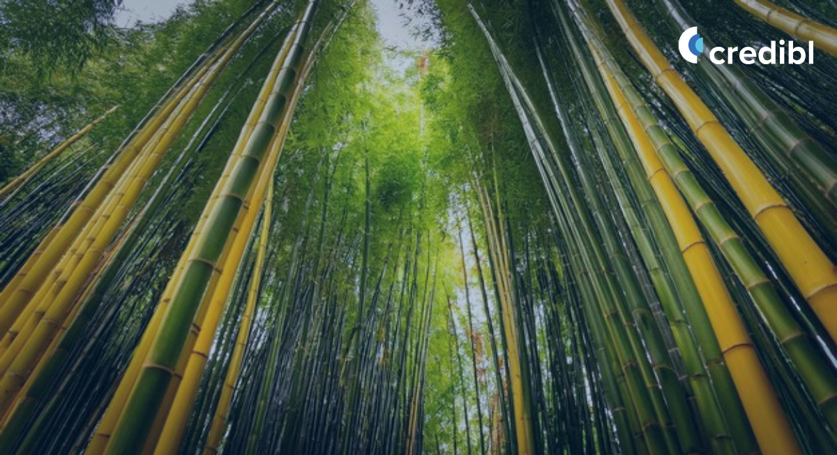 From Compliance to Strategy: How APAC Nations Are Localizing ISSB ...